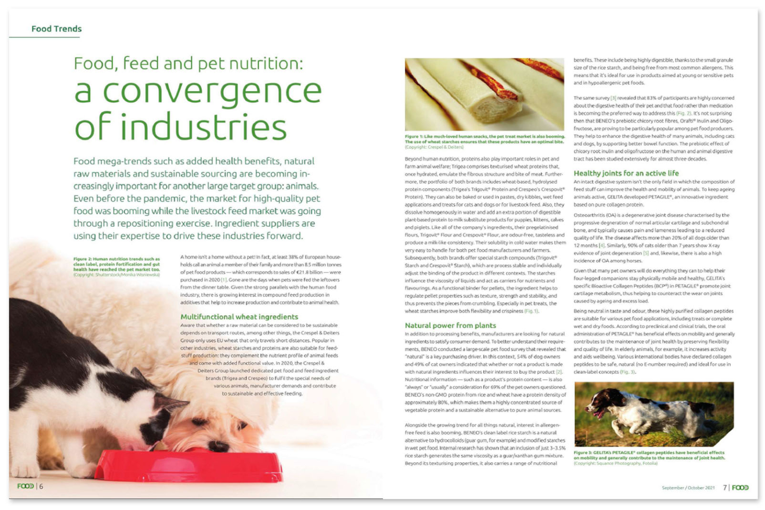 Fluid bed systems: continuous, batch or a hybrid? - Glatt Technologies ...