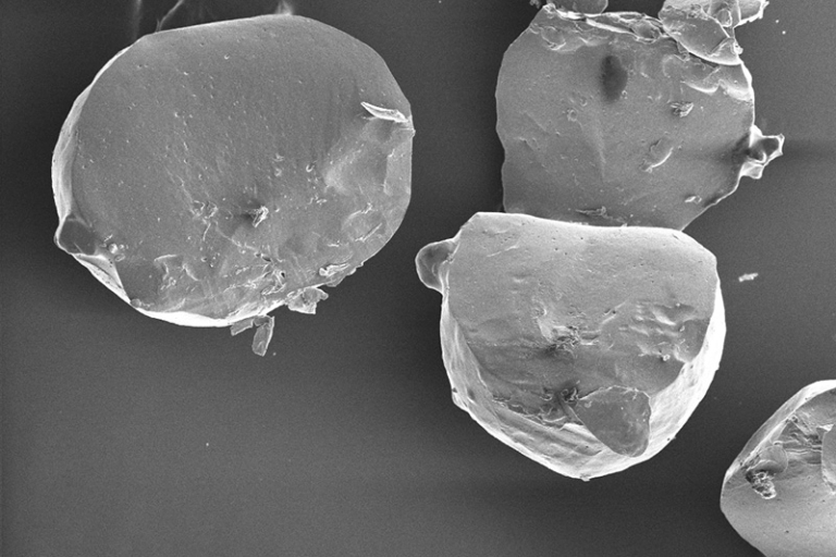 Micro-encapsulation for Products in Food, Feed & Fine Chemicals