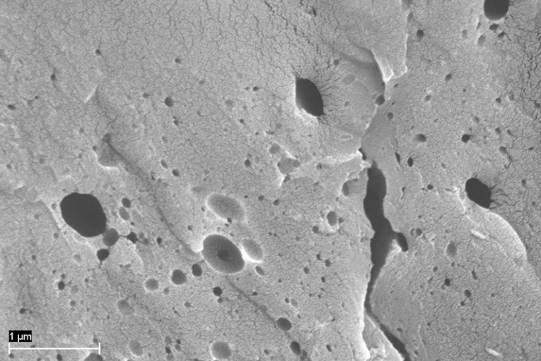 Micro-encapsulation. Protection of sensitives ingredients in granules ...